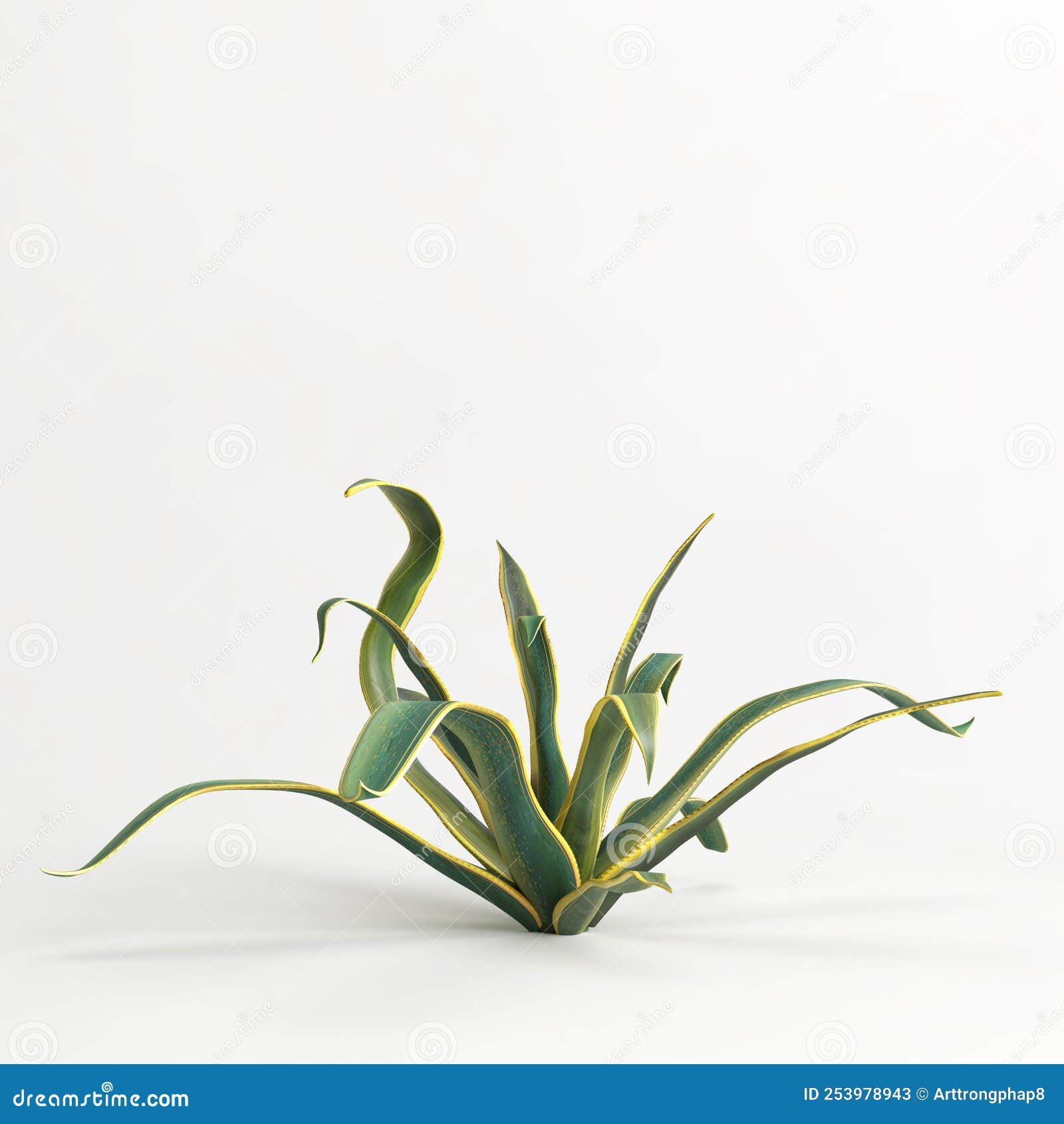 3d Illustration Of Agave Americana Tree Isolated On White Bachground ...