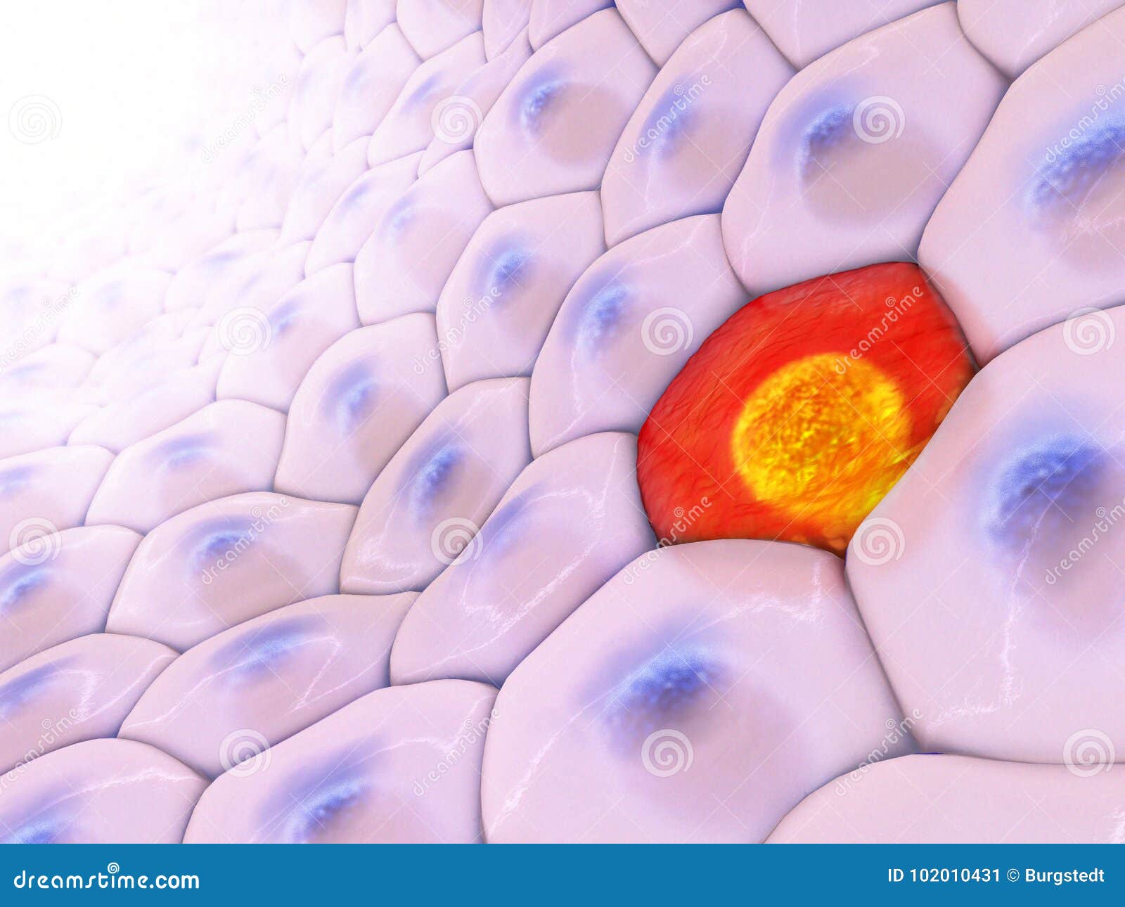 3d Illustration of a Frontal View on Cell Pattern with on Red Ce Stock ...