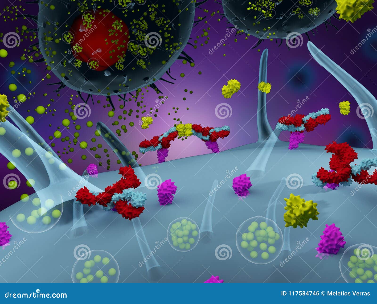 Mast Cells And Allergy Cartoon Vector | CartoonDealer.com #13000345