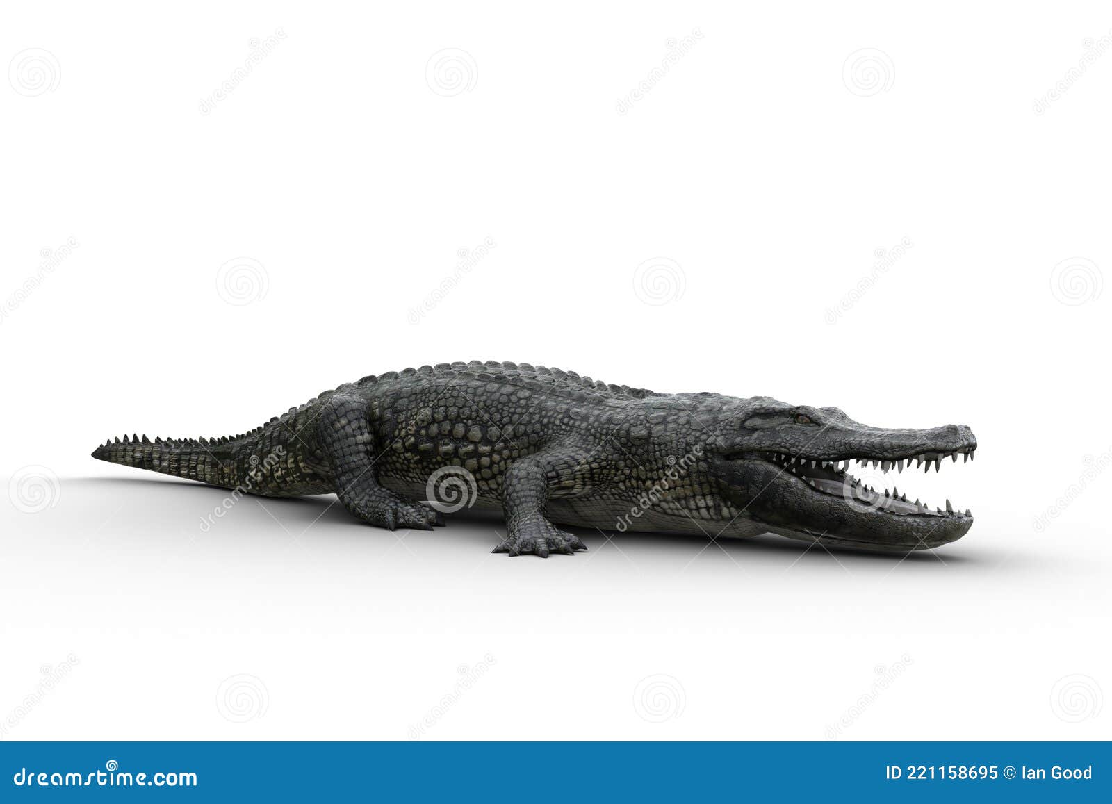 3D Illustration Of An Alligator Standing On Land With Jaws Open ...