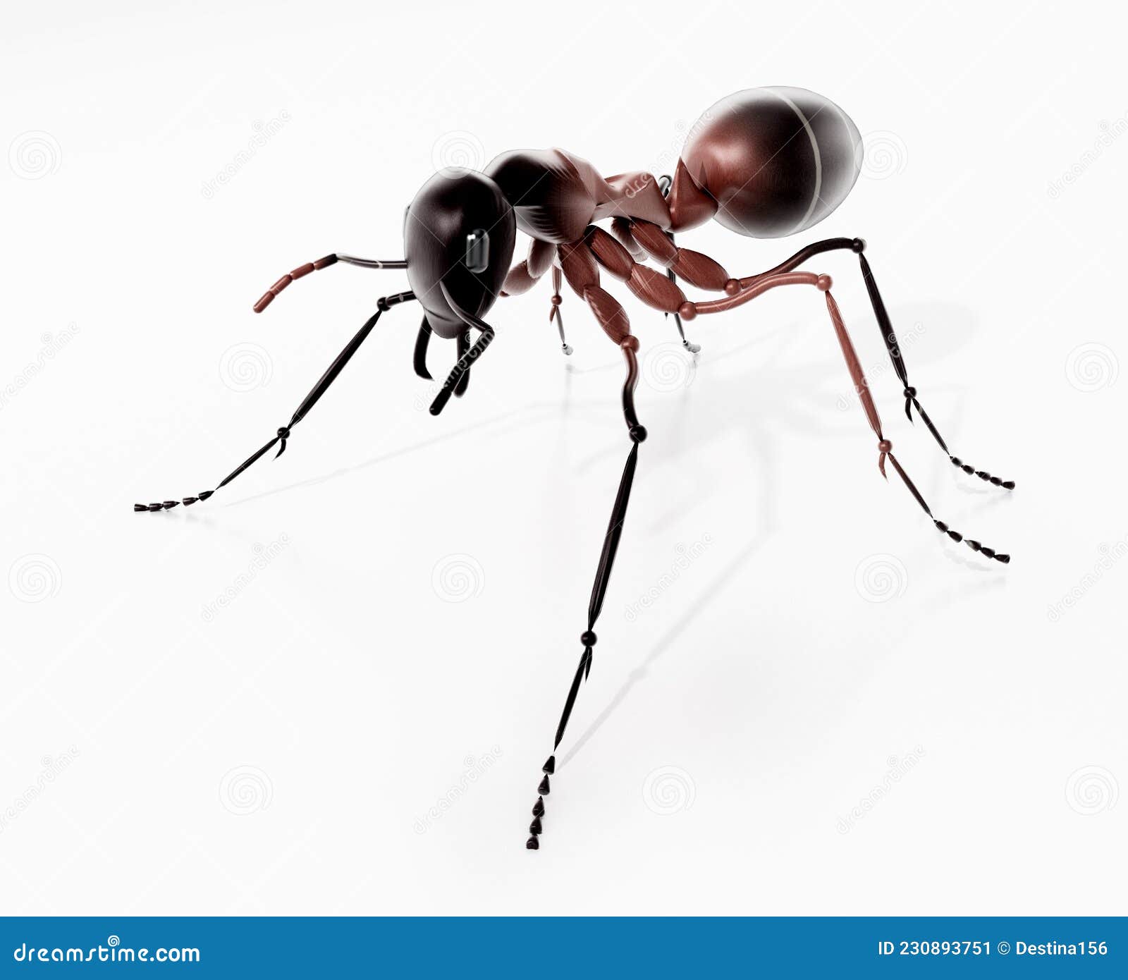 3D Illustration of an Ant Isolated on White Background. 3D Illustration ...
