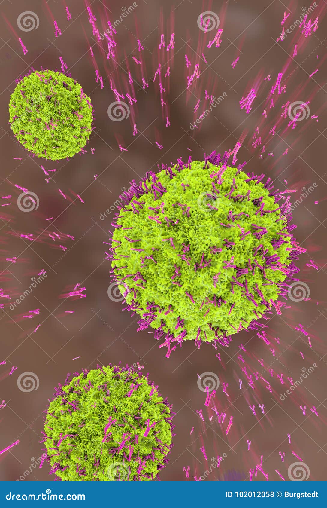 3d Illustration of Antibodies Attacking Virus Cell into the Bloodstream ...