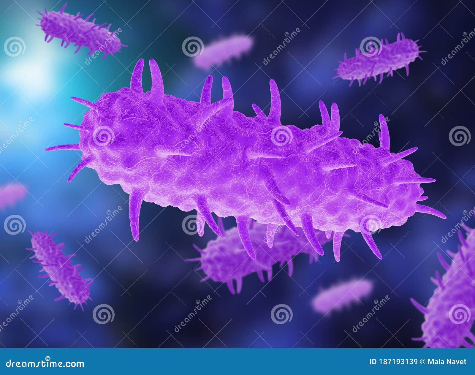 3D Illustration Of Bacillus Bacteria. Bacilli Type Category ...
