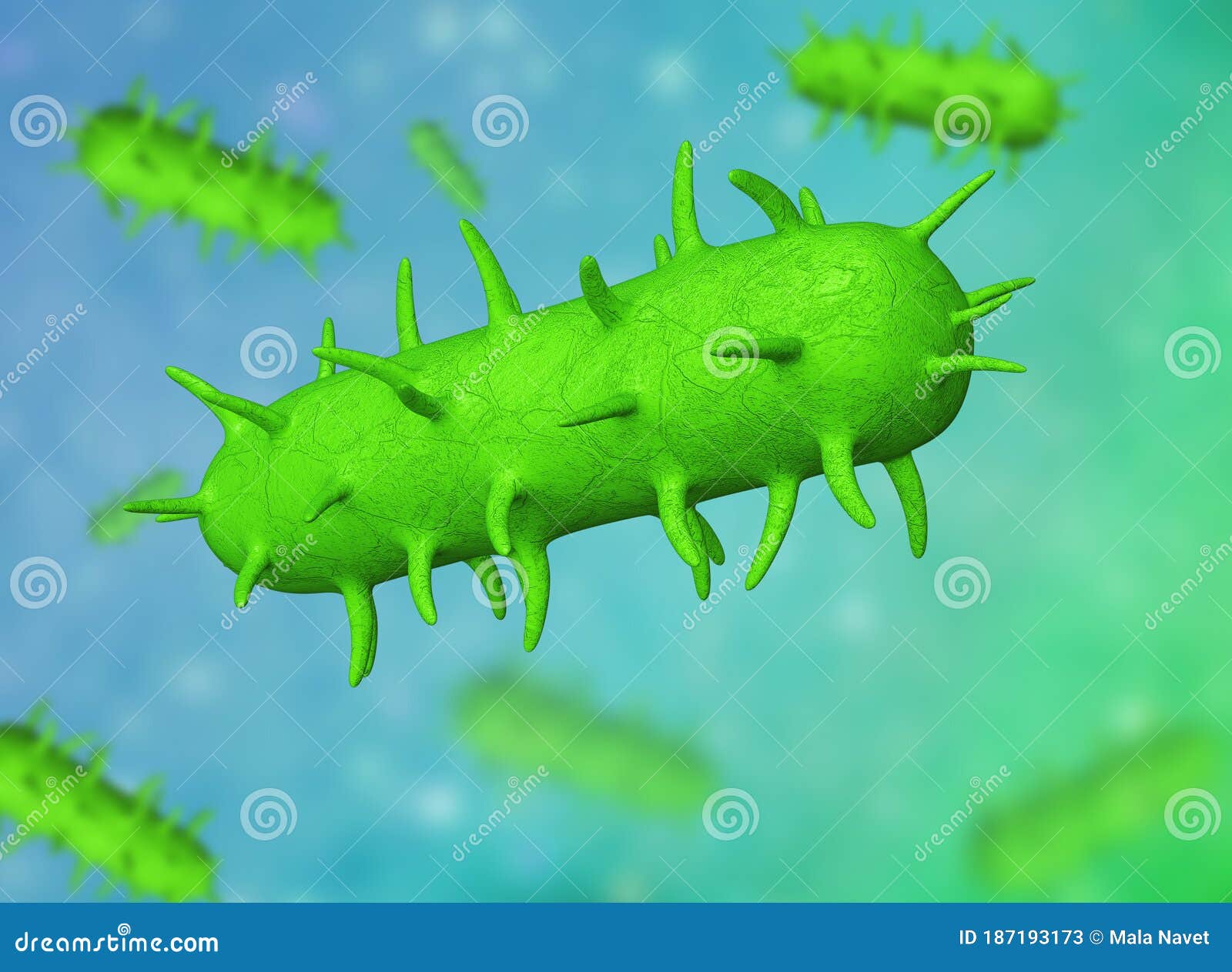 3D Illustration of Bacillus Bacteria. Bacilli Type Category. Stock ...