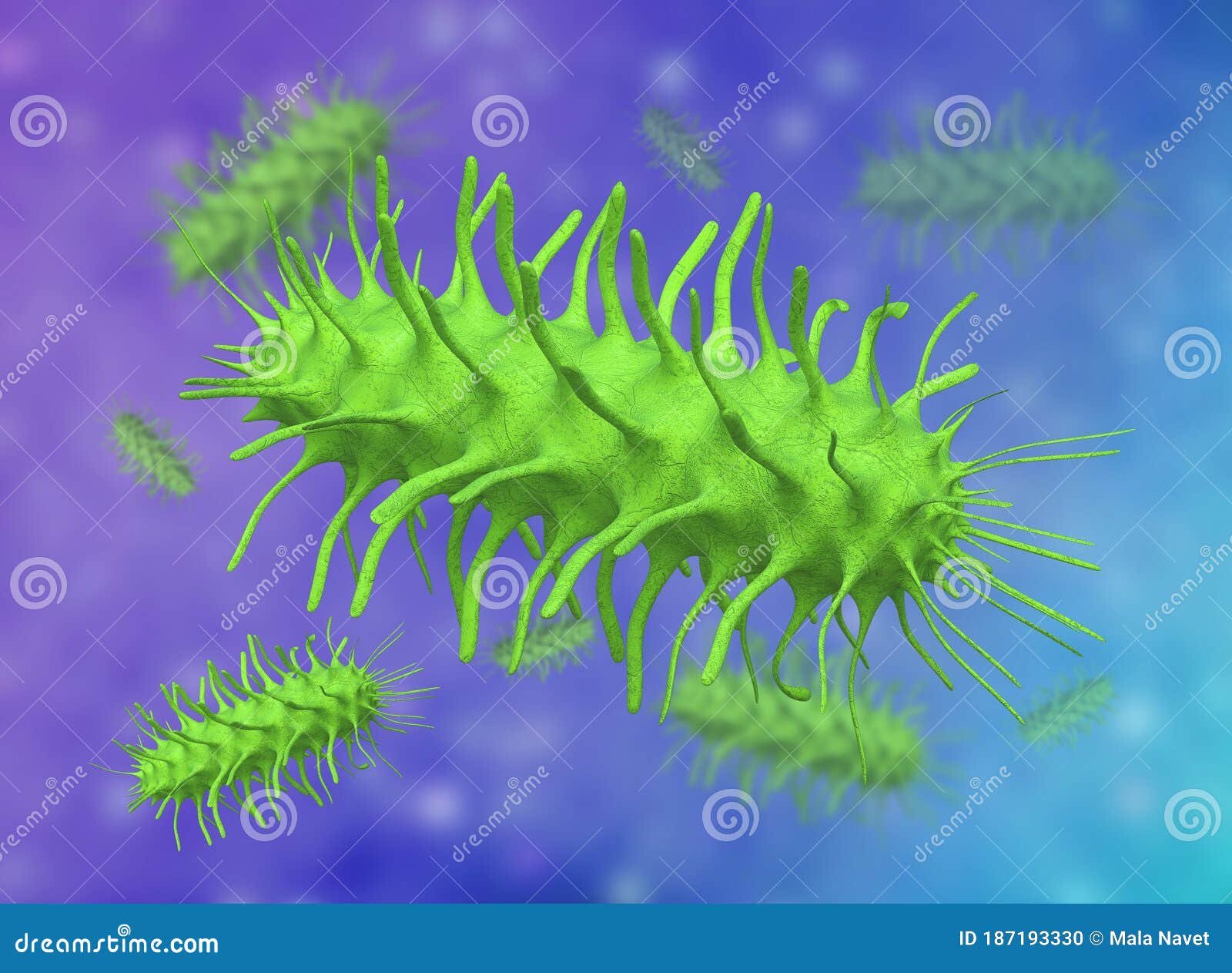 3D Illustration of Bacillus Bacteria. Bacilli Type Category Stock ...