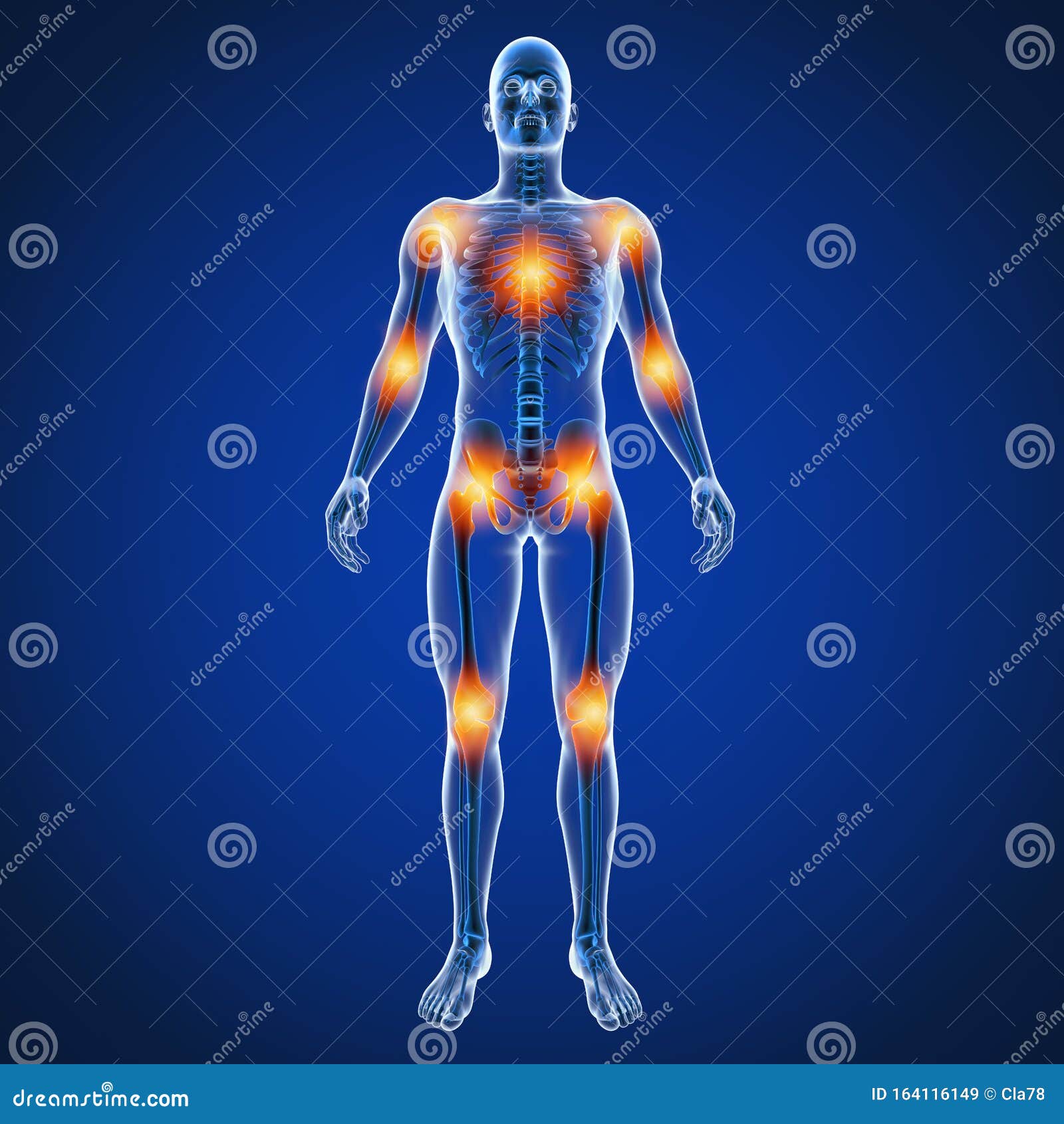 3d Illustration of Back Male Joint Pain Stock Illustration ...