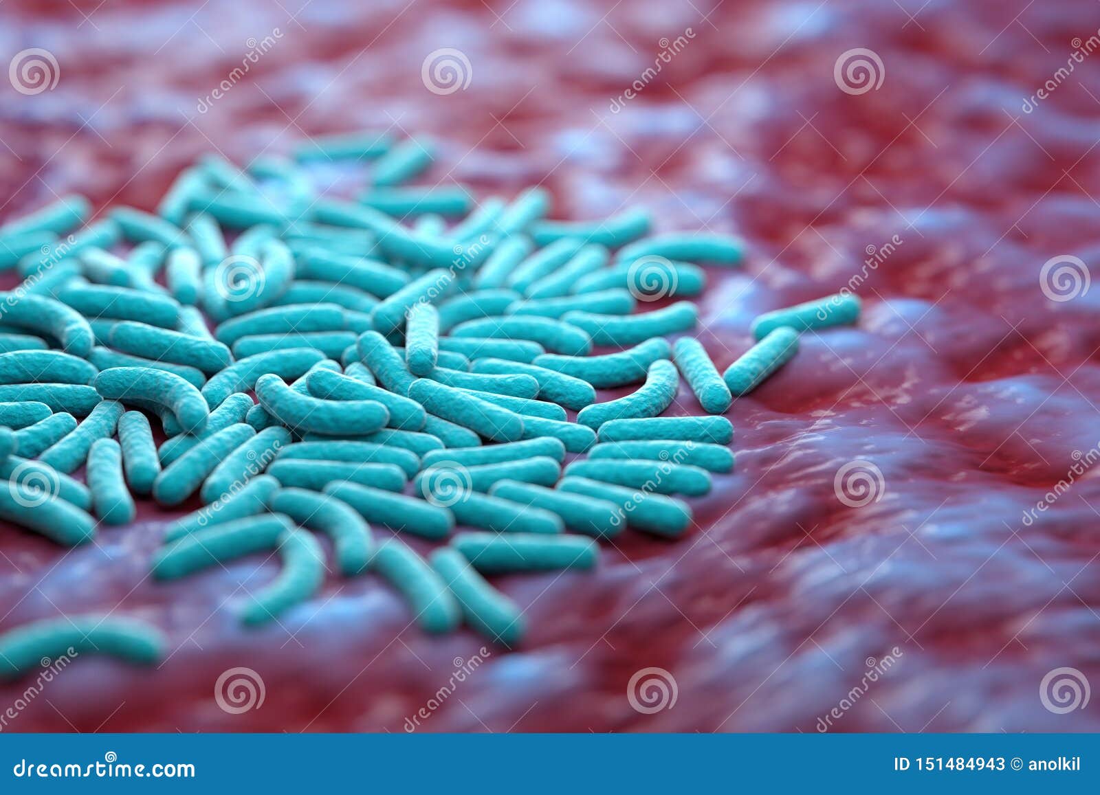 3 D Illustration of Bacteria in Microflora. Blue Bacterium on a Red ...