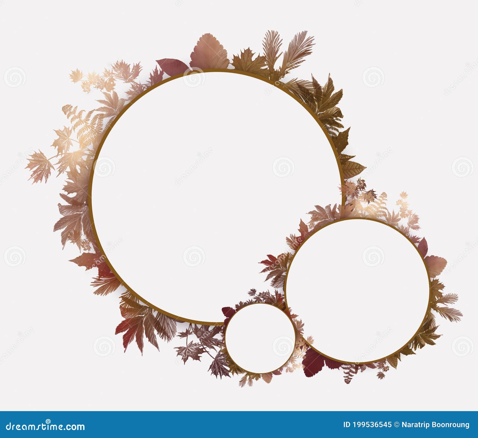 3d Illustration Beautiful Exotic Botanical Tropical Leaves with Text ...