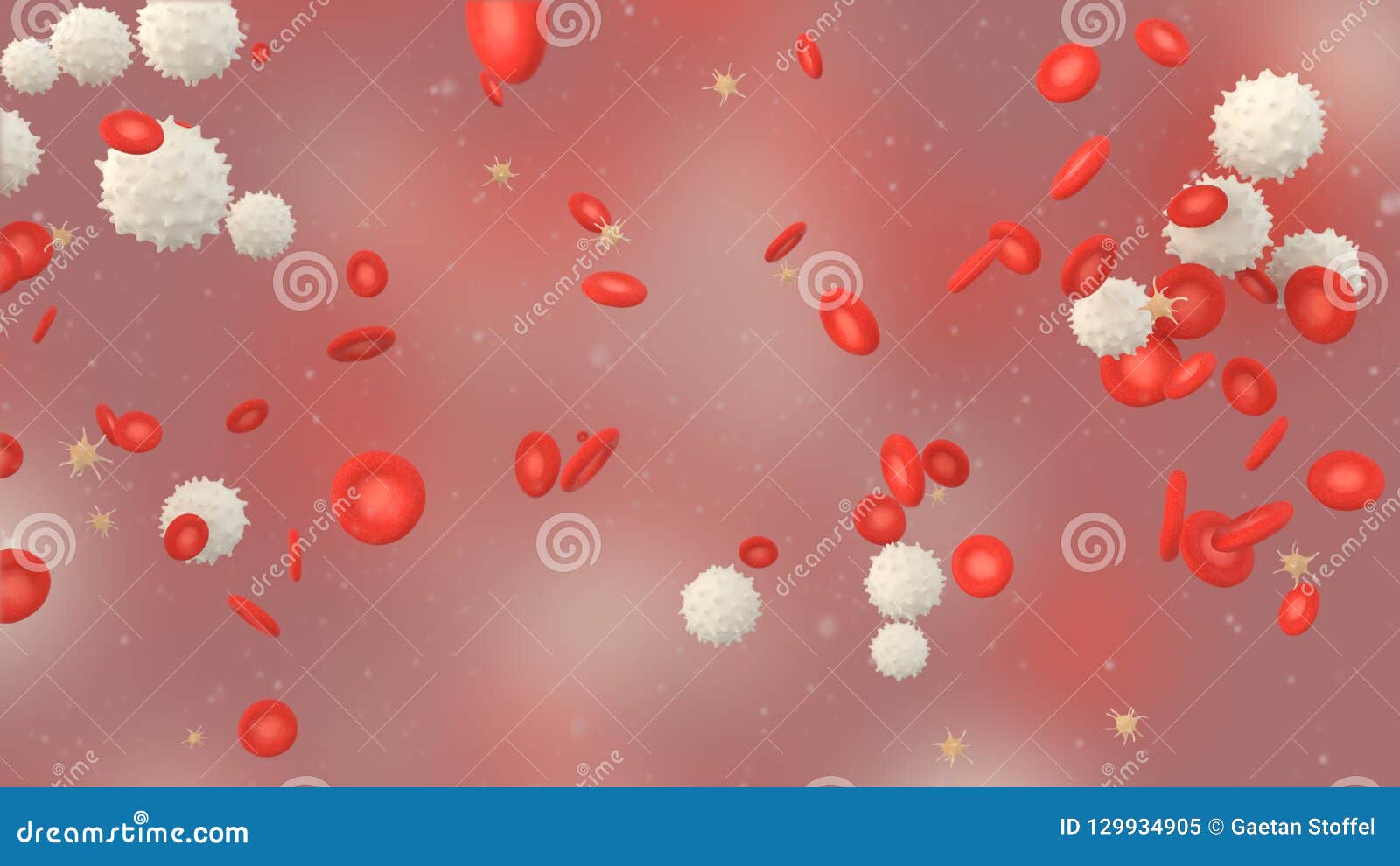 3D Illustration of a Blood with Red Cell White Cell and Platelet Stock ...