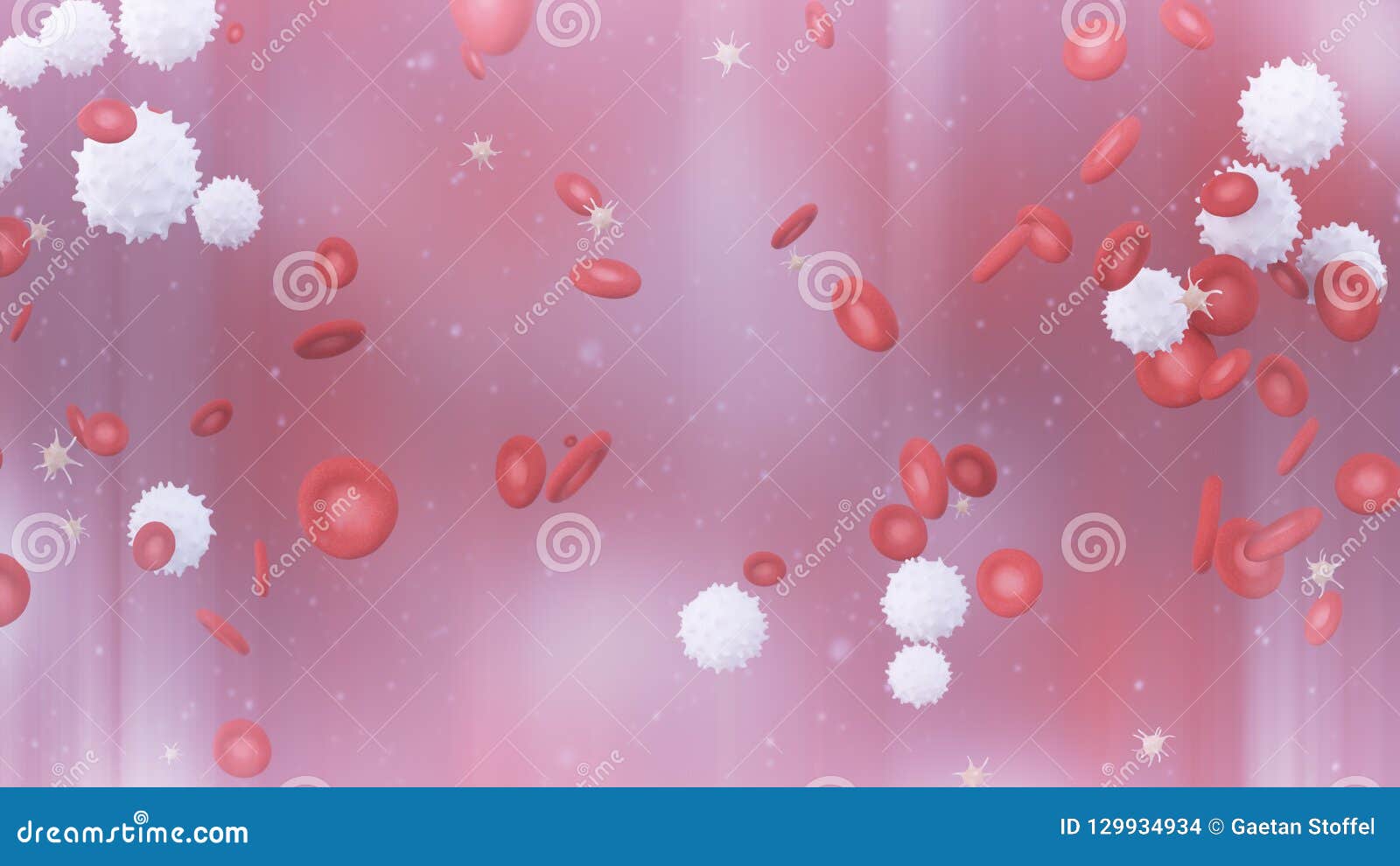 3D Illustration of a Blood with Red Cell White Cell and Platelet Stock ...