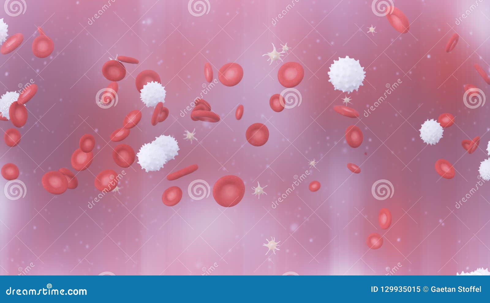3D Illustration of a Blood with Red Cell White Cell and Platelet Stock ...