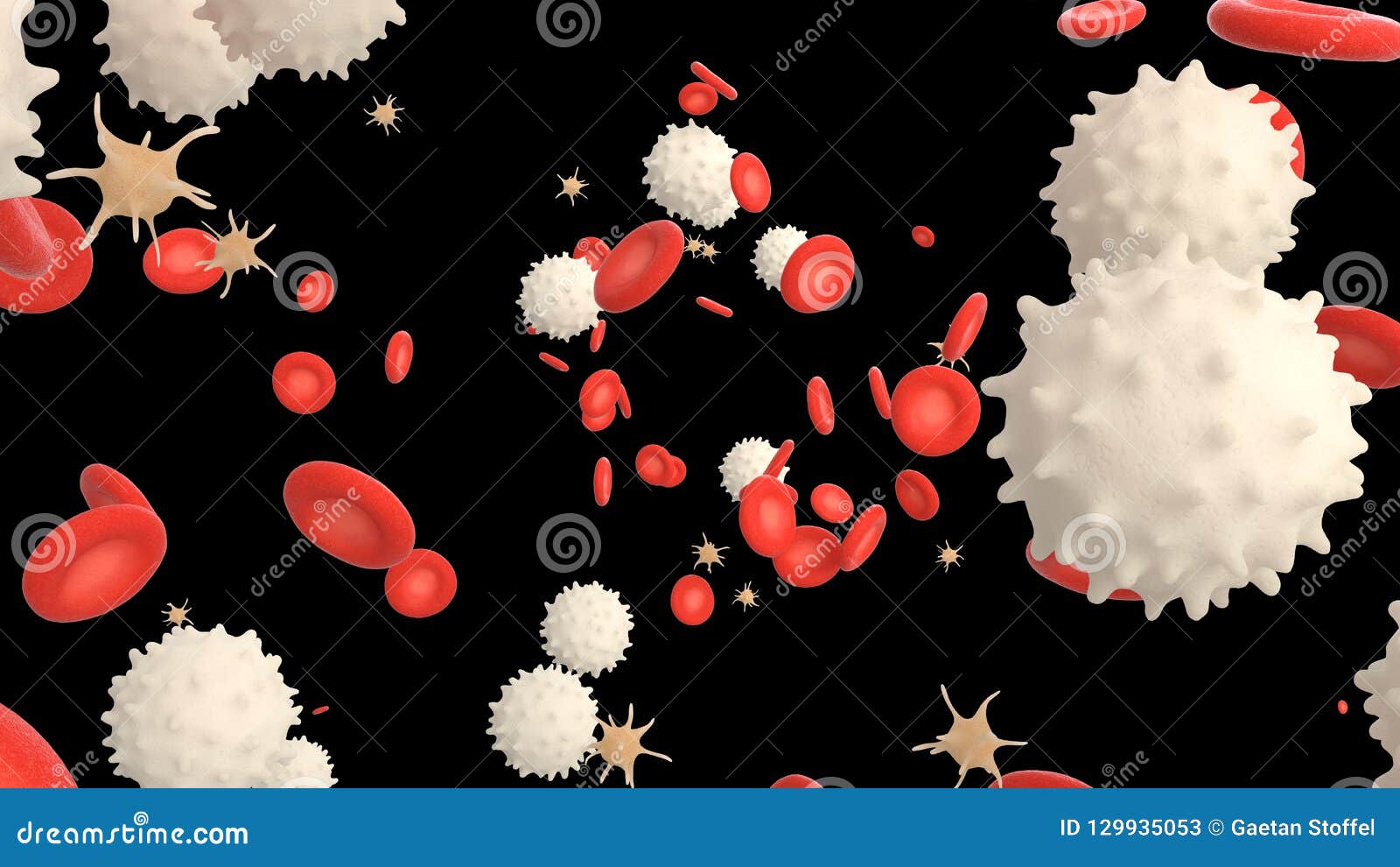 Platelet Cell. Vector Illustration Isolated On White Background ...