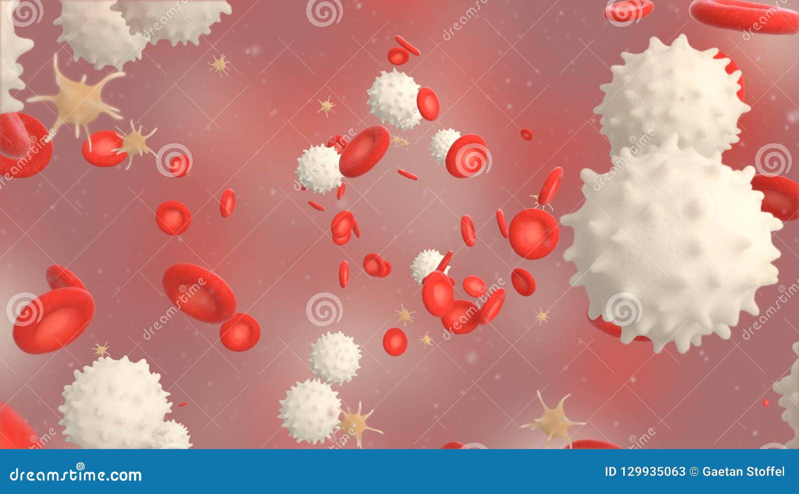 3D Illustration of a Blood with Red Cell White Cell and Platelet Stock ...