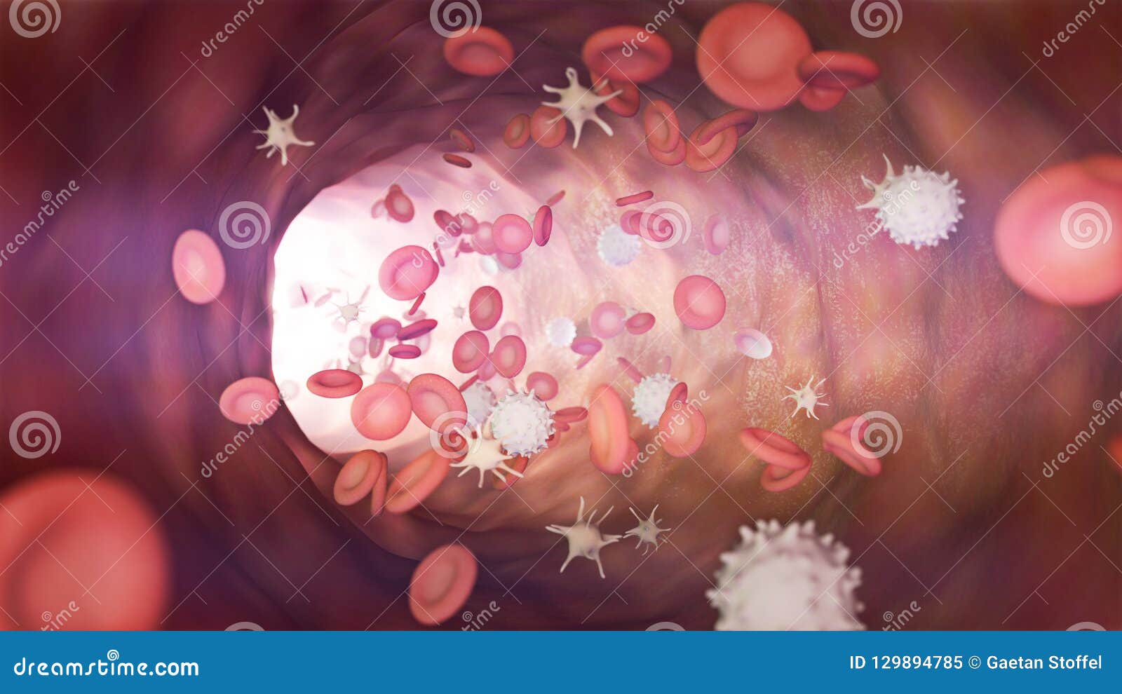 3D Illustration of a Bloodstream with Red Cell White Cell and Platelet ...