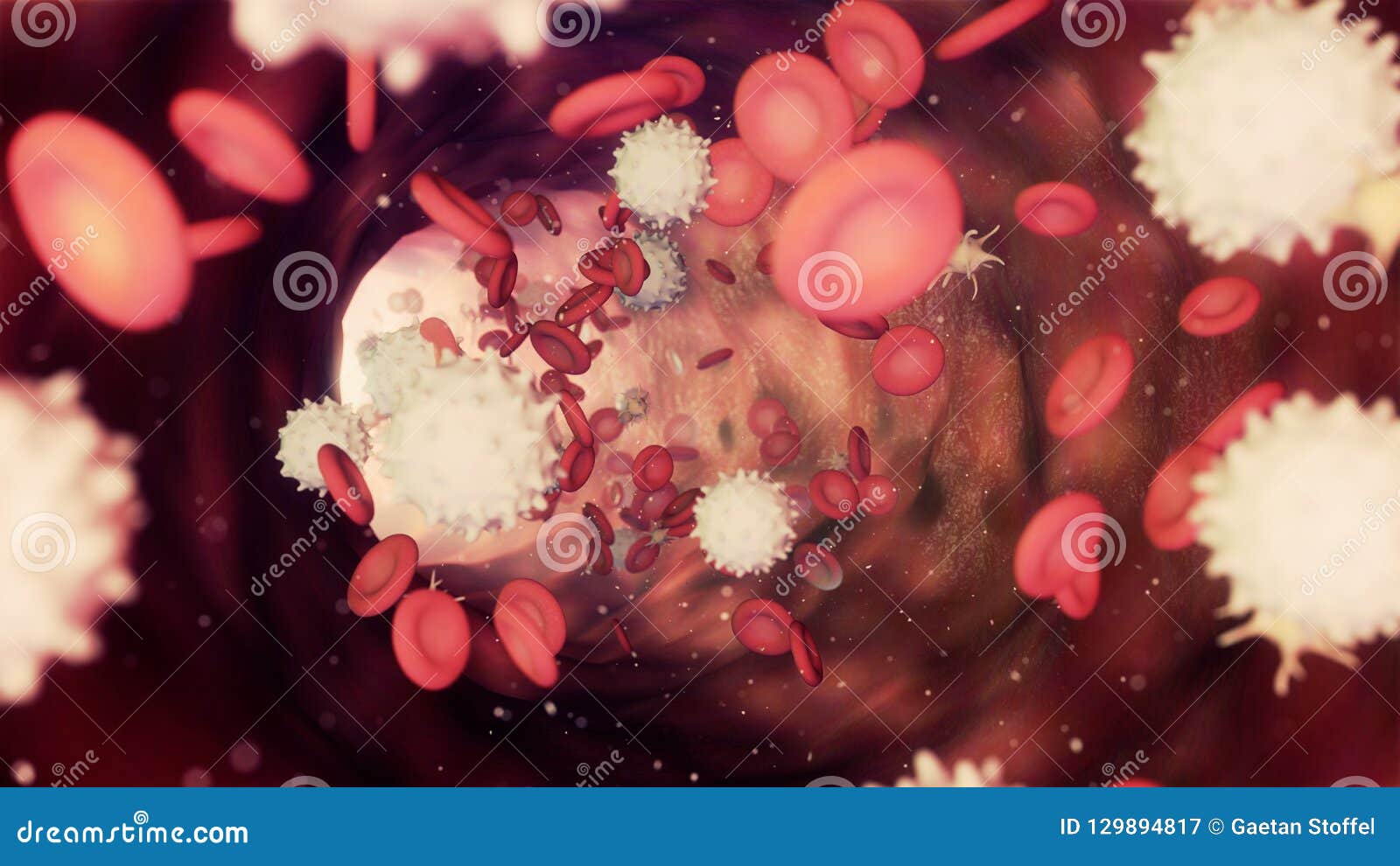 Platelet Cell. Vector Illustration Isolated On White Background ...