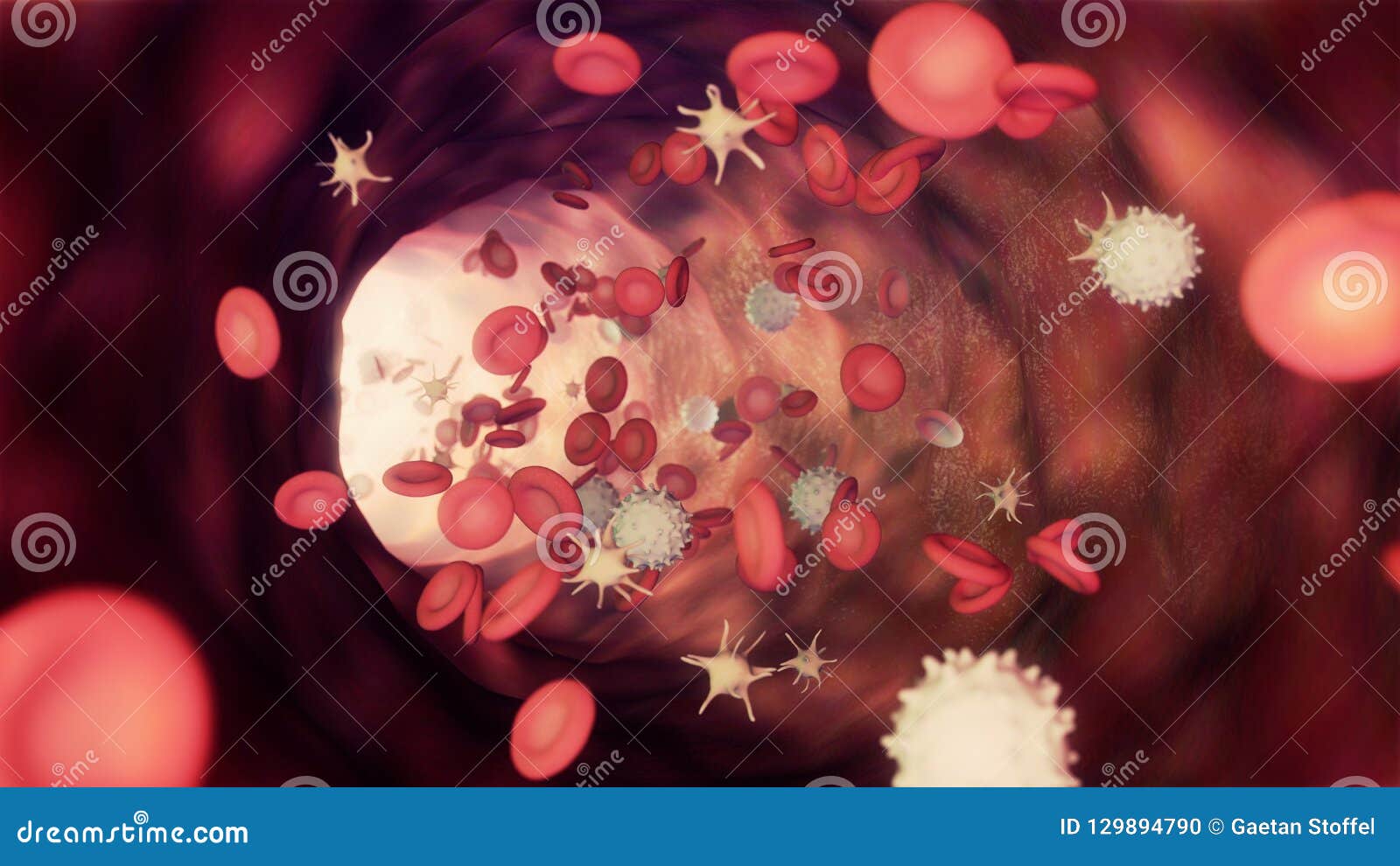 3D Illustration of a Bloodstream with Red Cell White Cell and Platelet ...