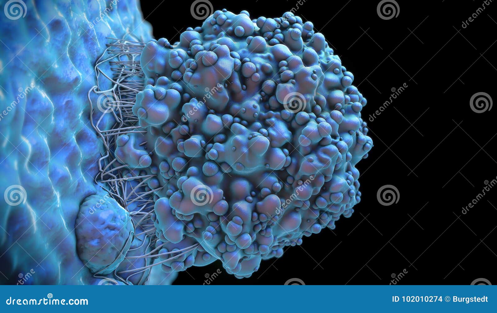 3d Illustration of a Blue Brain Cancer Cell on Black Background Stock ...