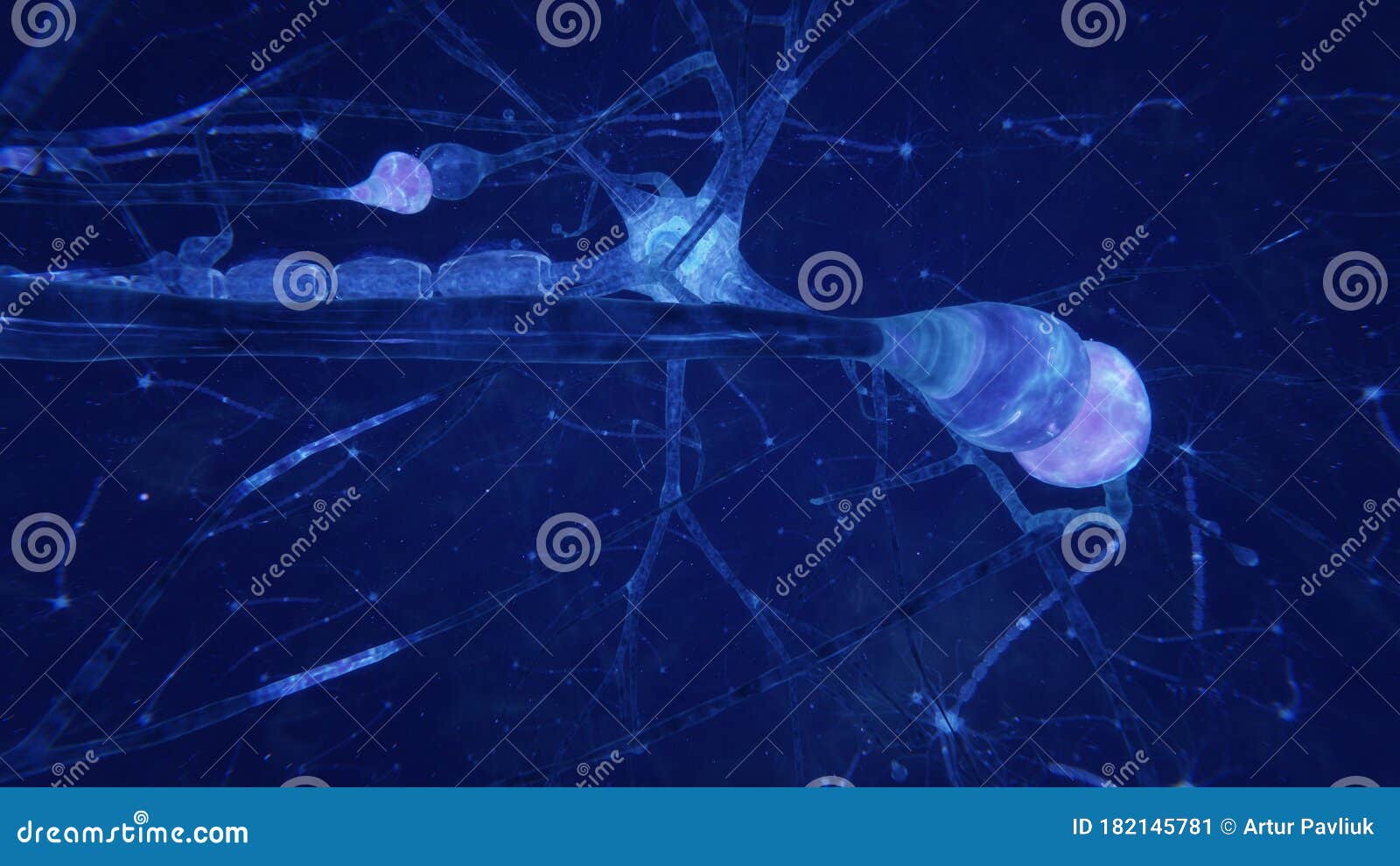 3d Render Brain Neurons with Synapses and Axons Stock Illustration ...