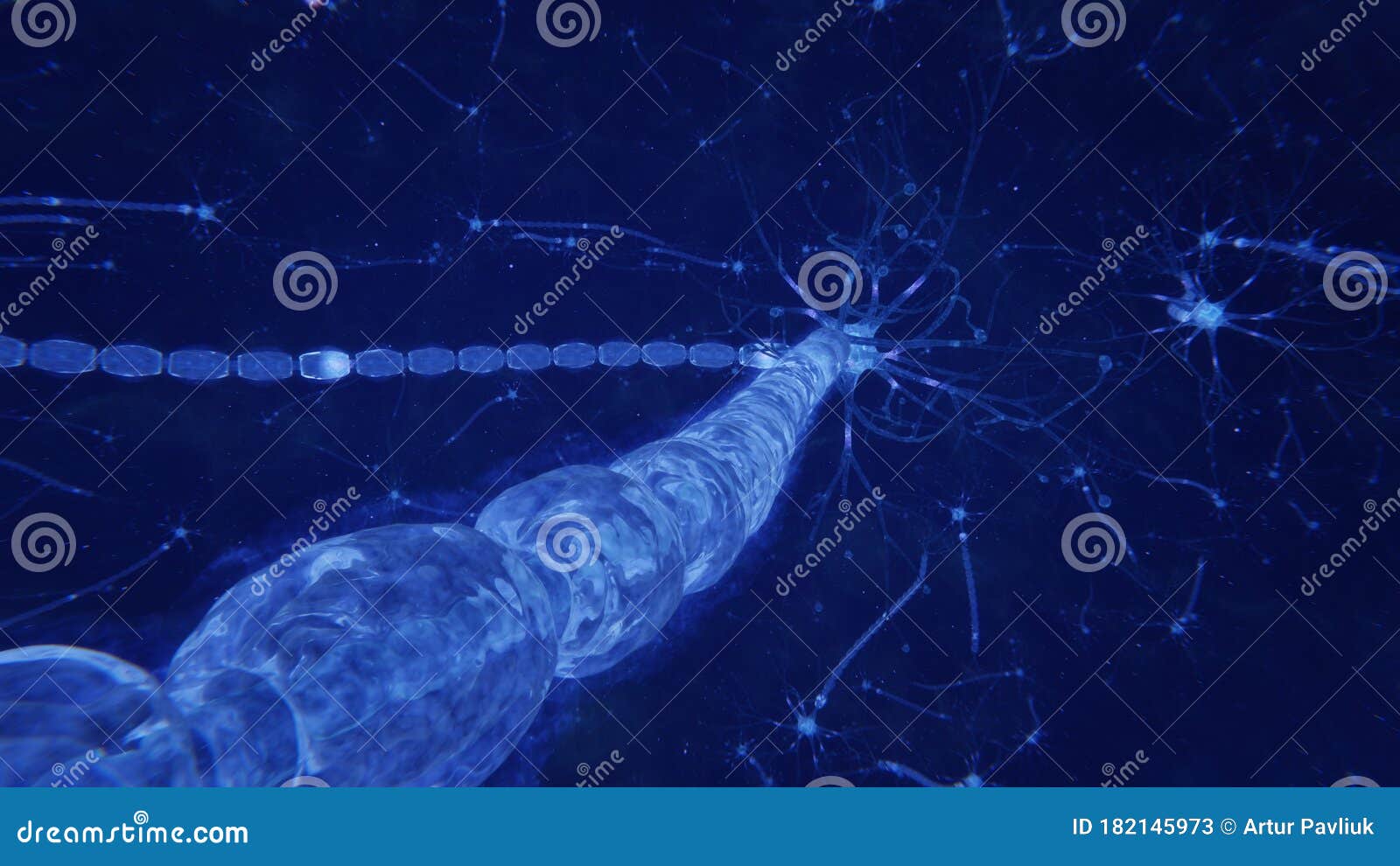 3d Render Brain Neurons With Synapses And Axons Stock Illustration ...