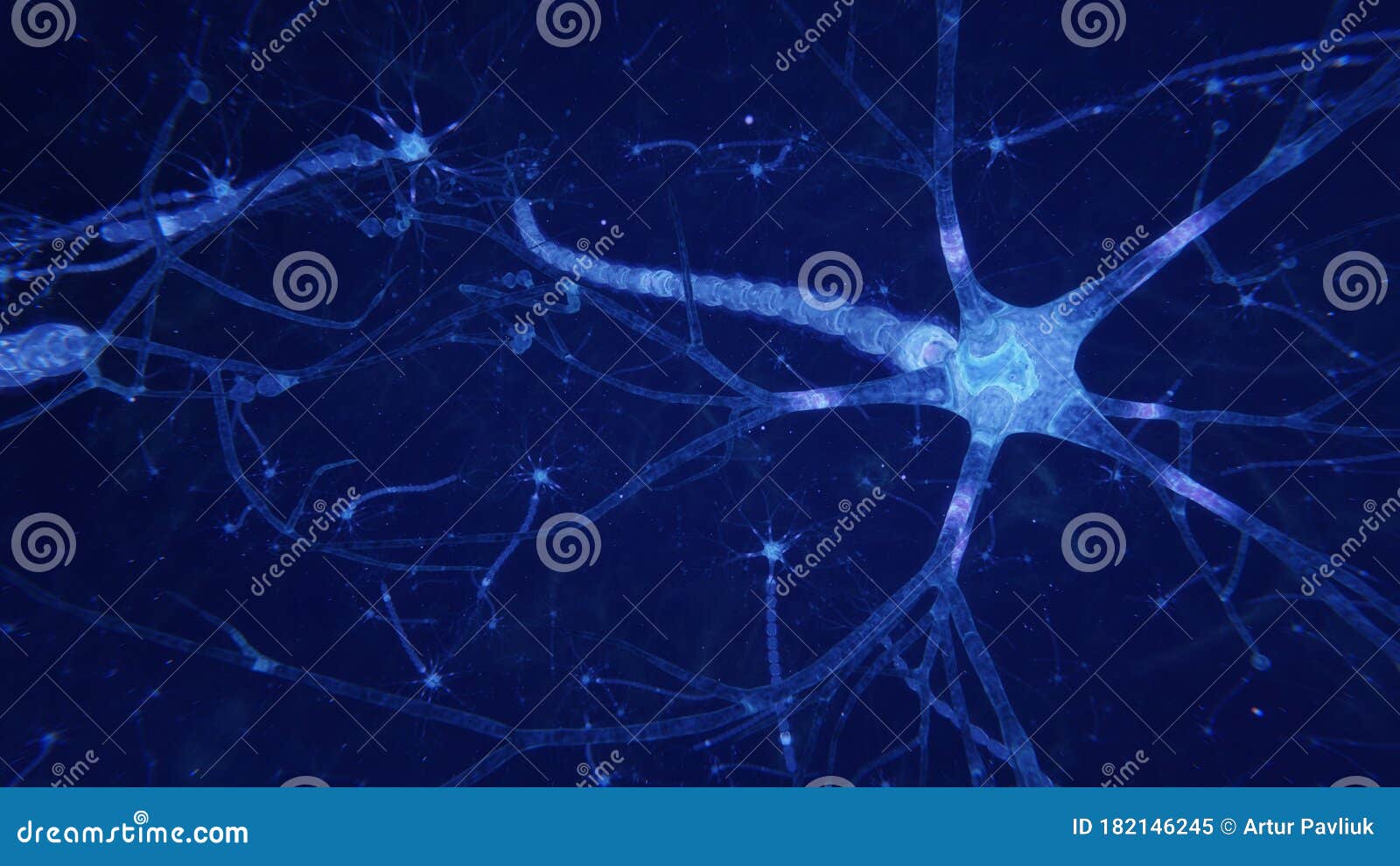 3d Render Brain Neurons with Synapses and Axons Stock Illustration ...