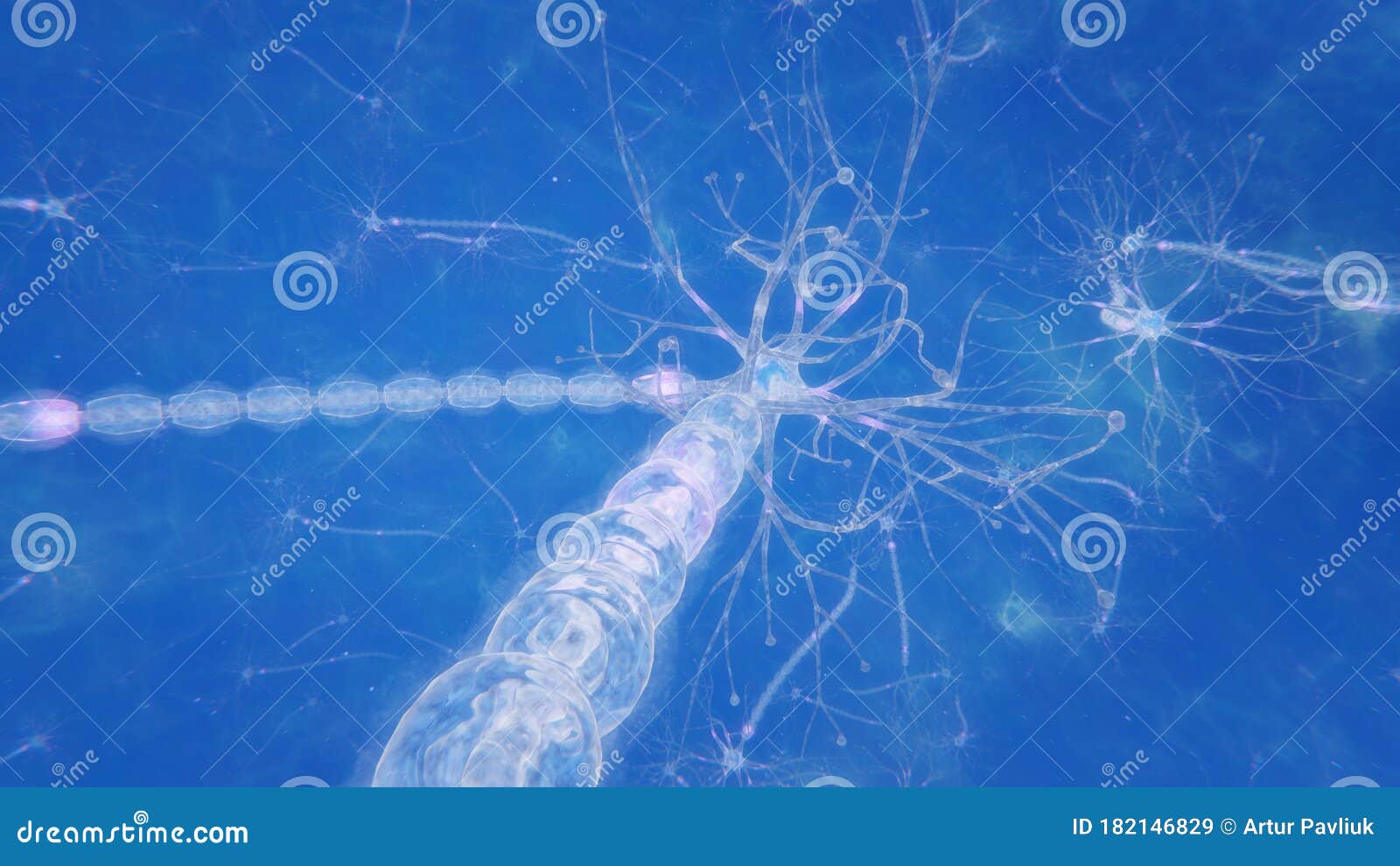 3d Render Brain Neurons with Synapses and Axons Stock Illustration ...