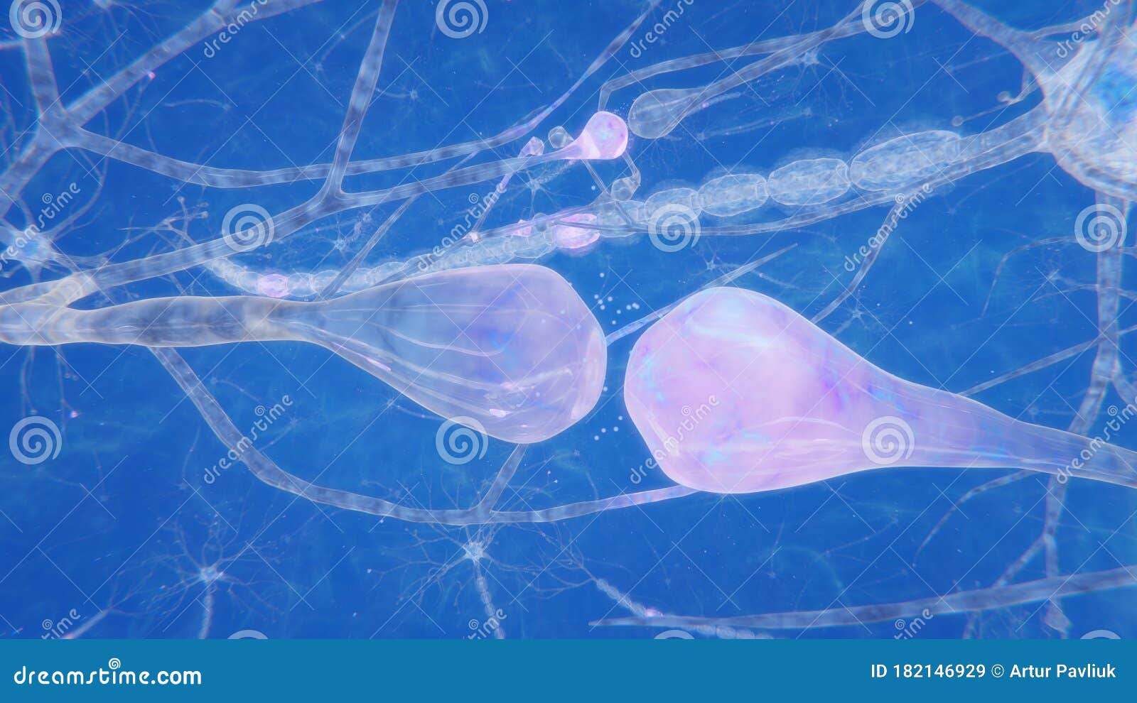 3d Render Brain Neurons with Synapses and Axons Stock Illustration ...