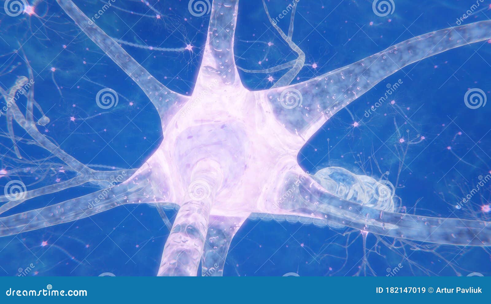 3d Render Brain Neurons with Synapses and Axons Stock Illustration ...