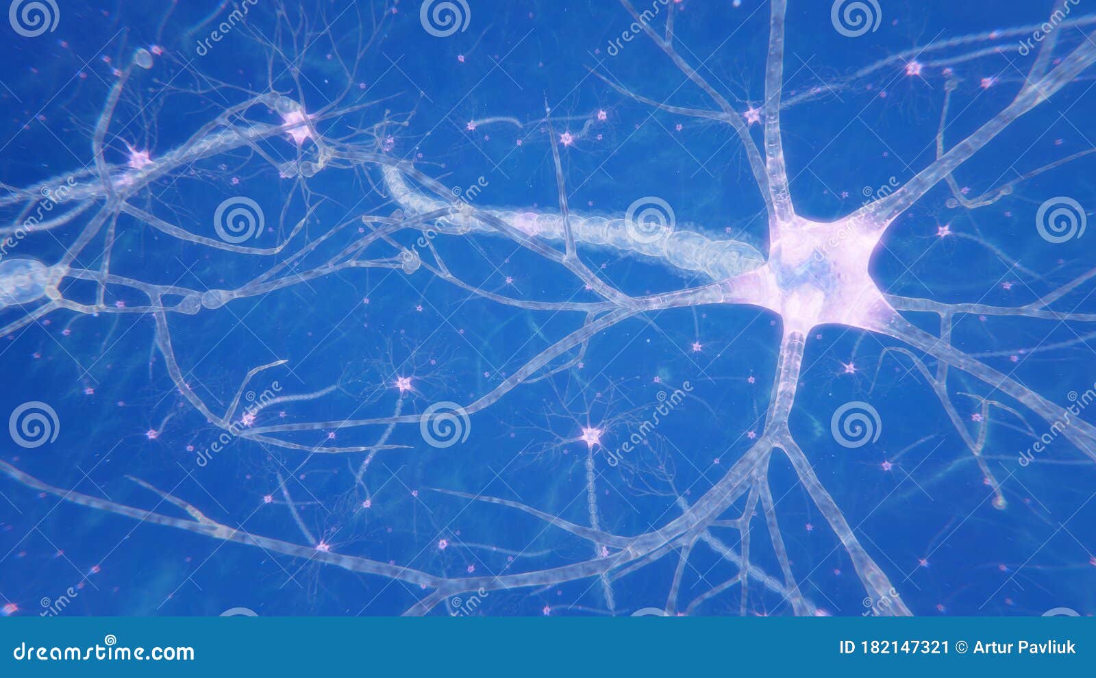 3d Render Brain Neurons with Synapses and Axons Stock Illustration ...