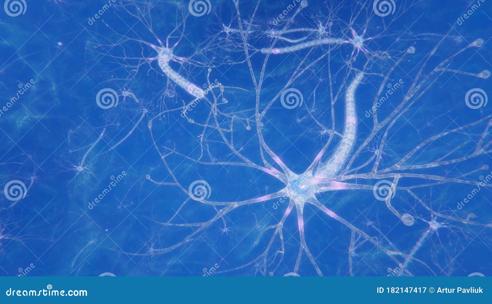3d Render Brain Neurons with Synapses and Axons Stock Illustration ...