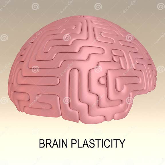 Brain Plasticity concept stock illustration. Illustration of medical ...