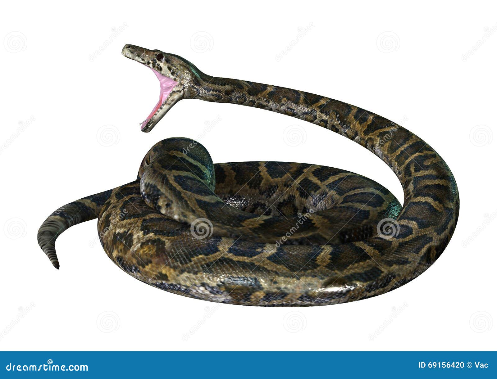 Burmese Cartoons, Illustrations & Vector Stock Images - 3165 Pictures ...