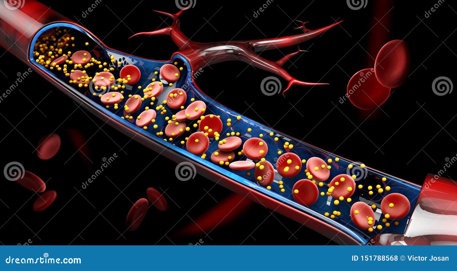 Blood-vein Moth Illustration, Drawing, Engraving, Ink, Line Art, Vector ...
