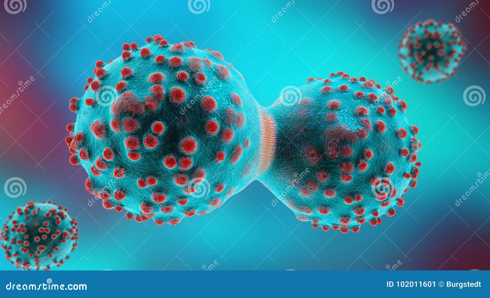 3d Illustration of a Blue Cancer Cell in the Process of Mitosis Stock ...