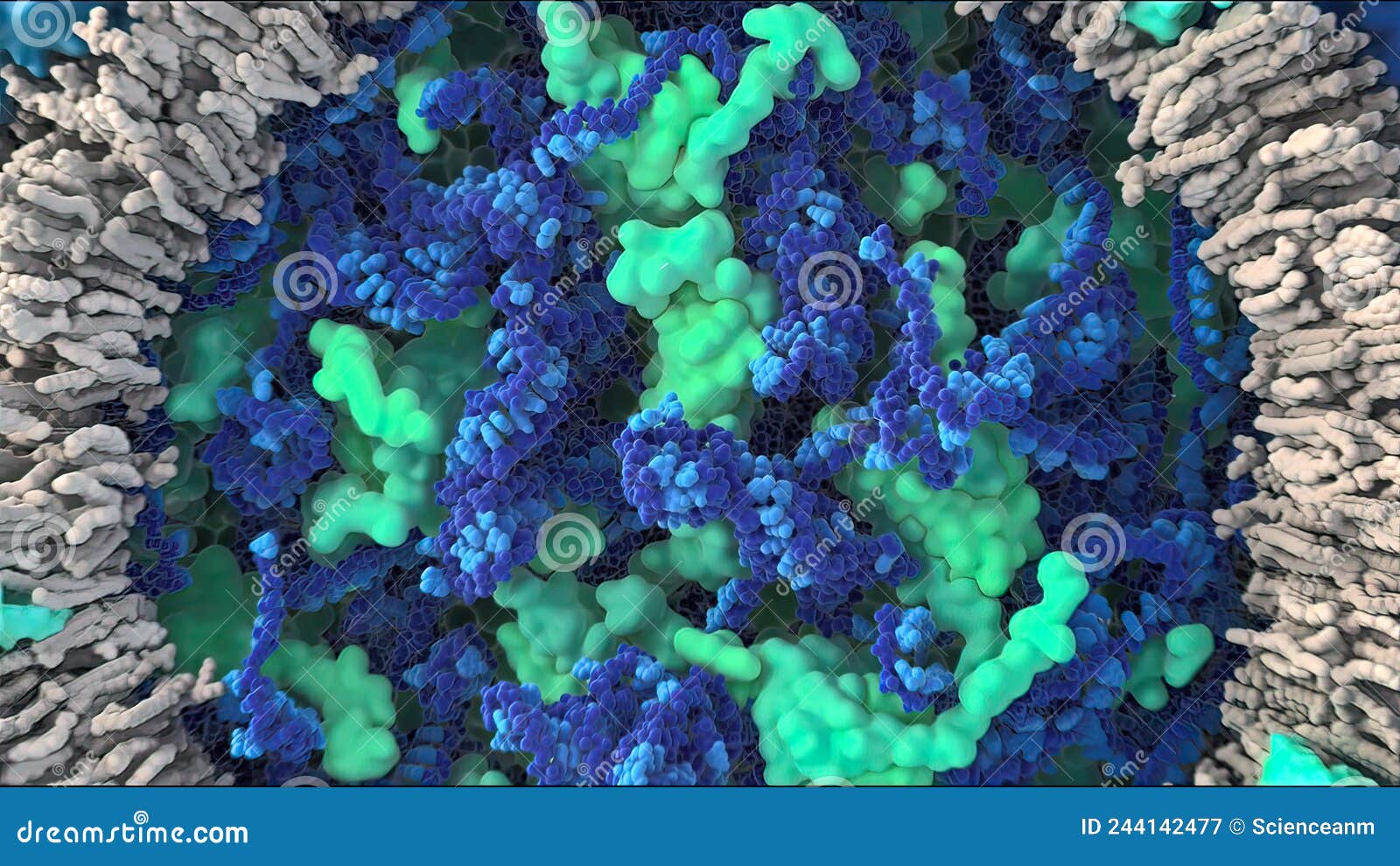 3D Illustration of Cell and Internal Structure on Black Background ...