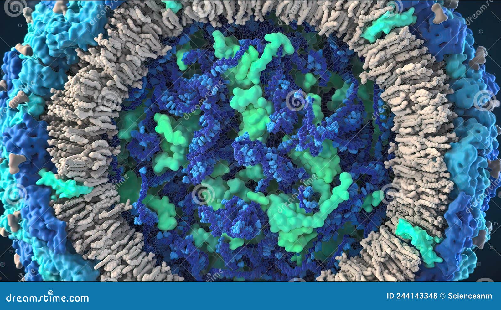 3D Illustration of Cell and Internal Structure on Black Background ...