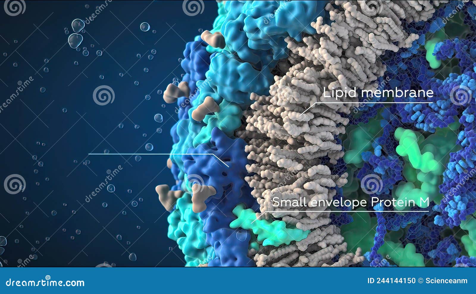 3D Illustration of Cell and Internal Structure on Black Background ...