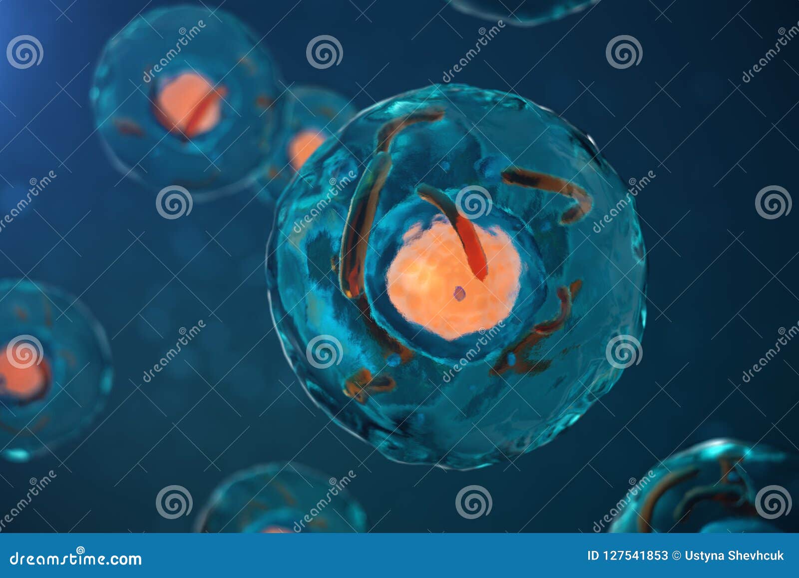 3D Illustration Cell of a Living Organism, Scientific Concept ...