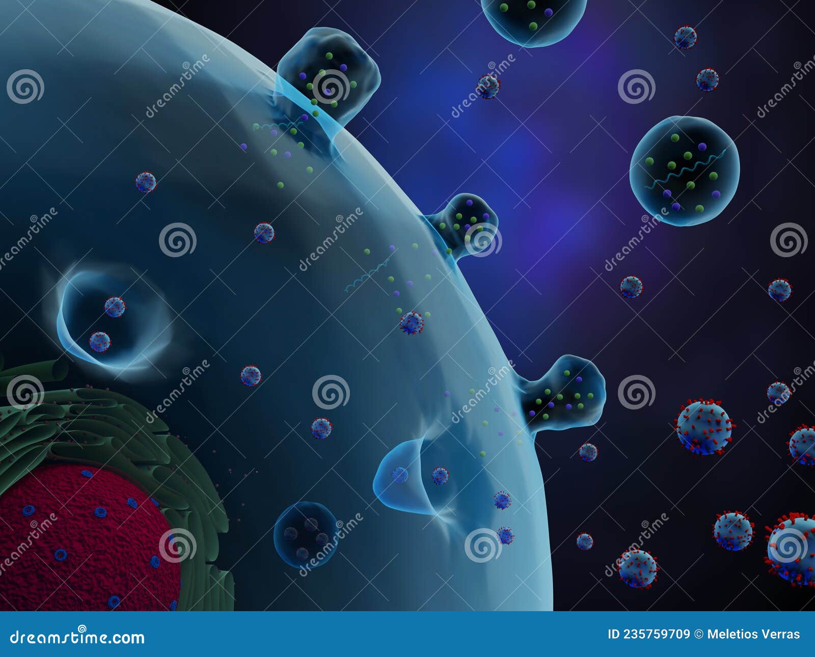 A Cell Secreting Exosomes and Microvesicles Stock Illustration ...