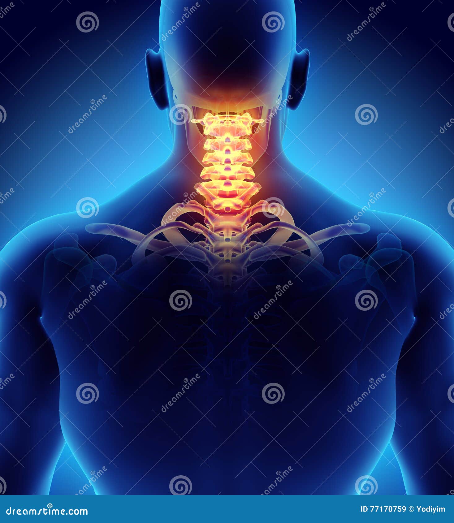3d Illustration Of Cervical Spine Medical Concept Stock Illustration
