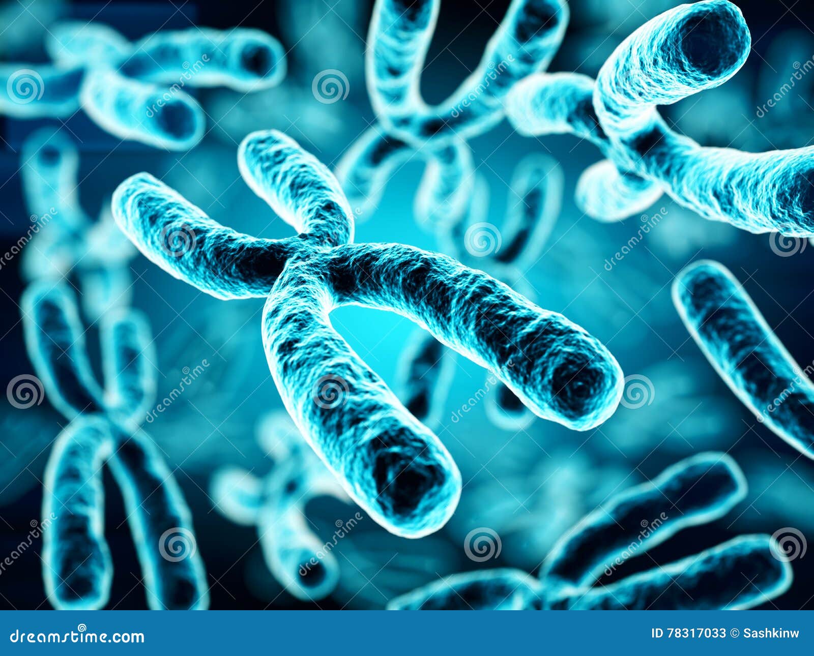 3d Illustration of Chromosomes Stock Illustration - Illustration of ...