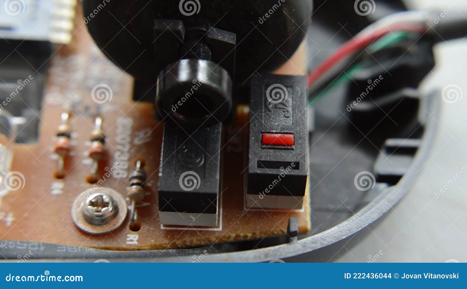 Closeup Inside View of the Computer Mouse Stock Photo - Image of ...