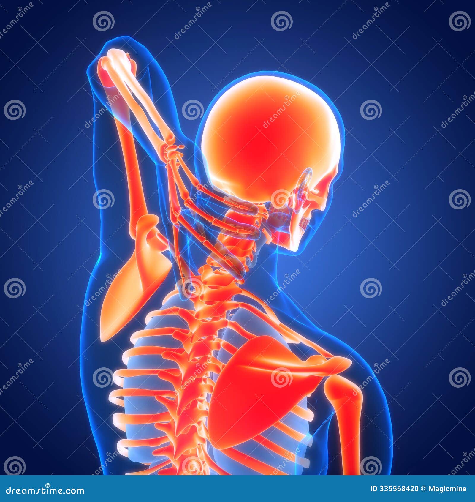 Bone Joints Icon Vector Illustration | CartoonDealer.com #268297856