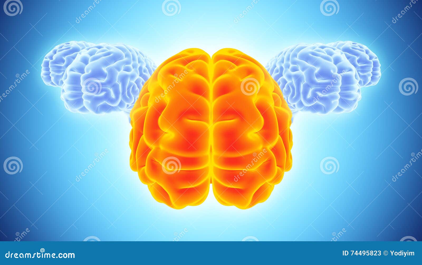 3D Illustration of Conceptual Bright Orange and Blue Brain. Stock ...