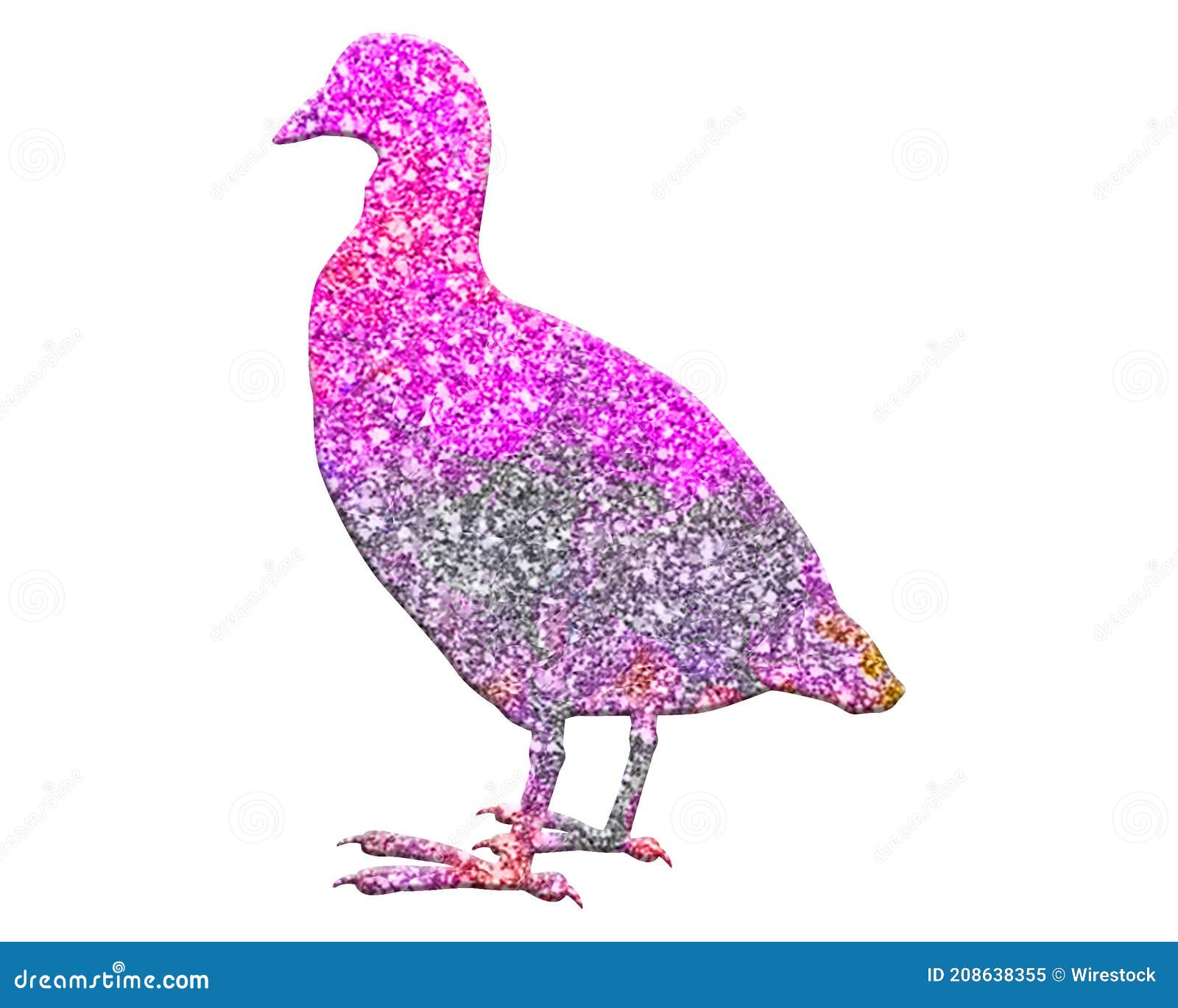 3d Illustration of Coot Bird Animal Stock Illustration - Illustration ...