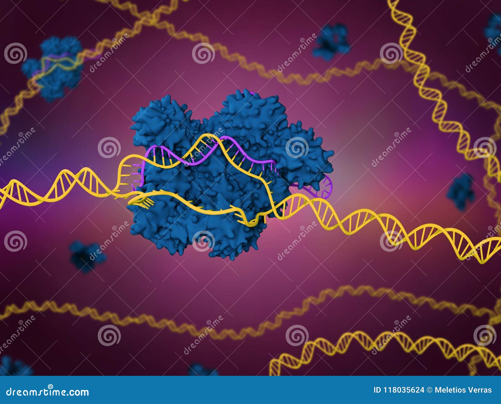 CRISPR-Cas9 To Treat Sickle Cell Disease Stock Photography ...