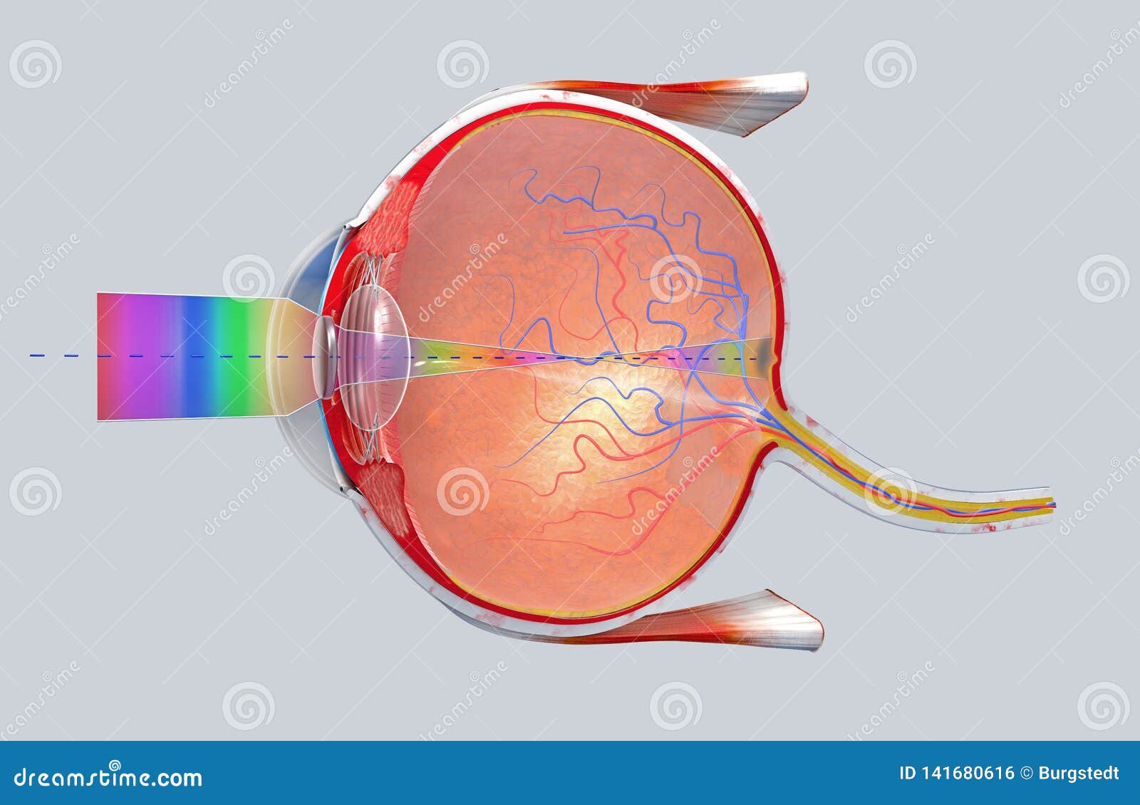 Side View Eye Diagram
