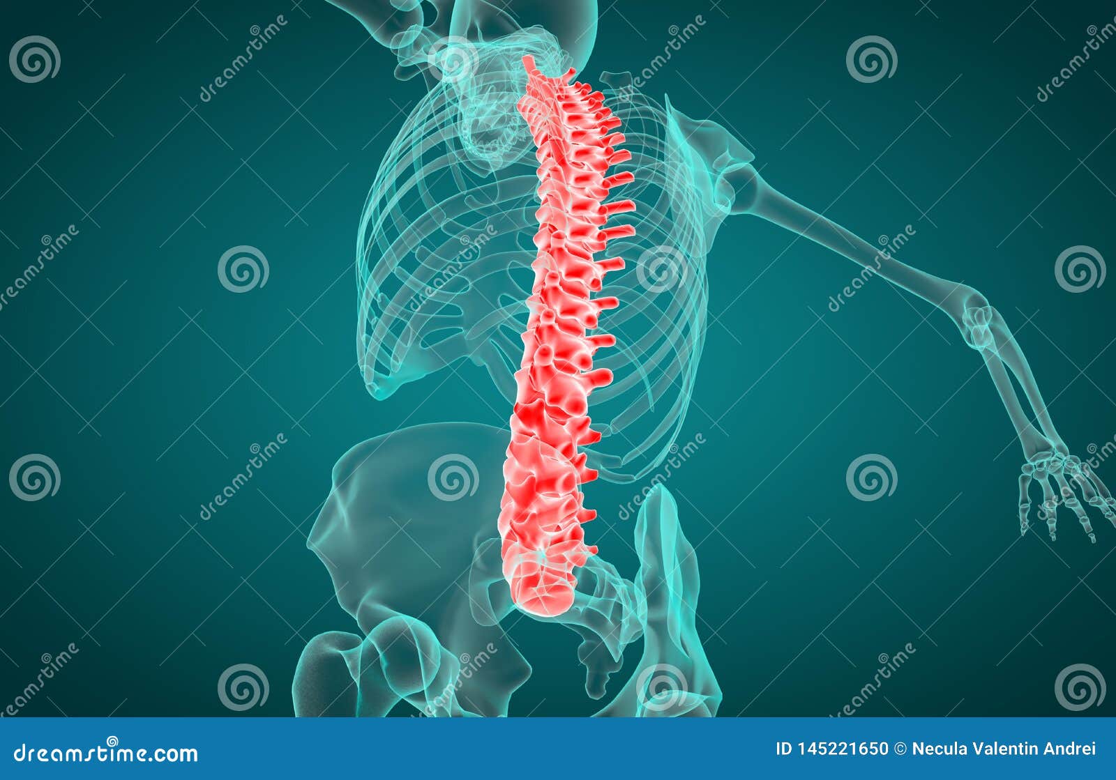 3D Illustration of Spine, Medical Concept Stock Illustration ... 3D Illustration of Spine, Medical Concept Stock Illustration ...