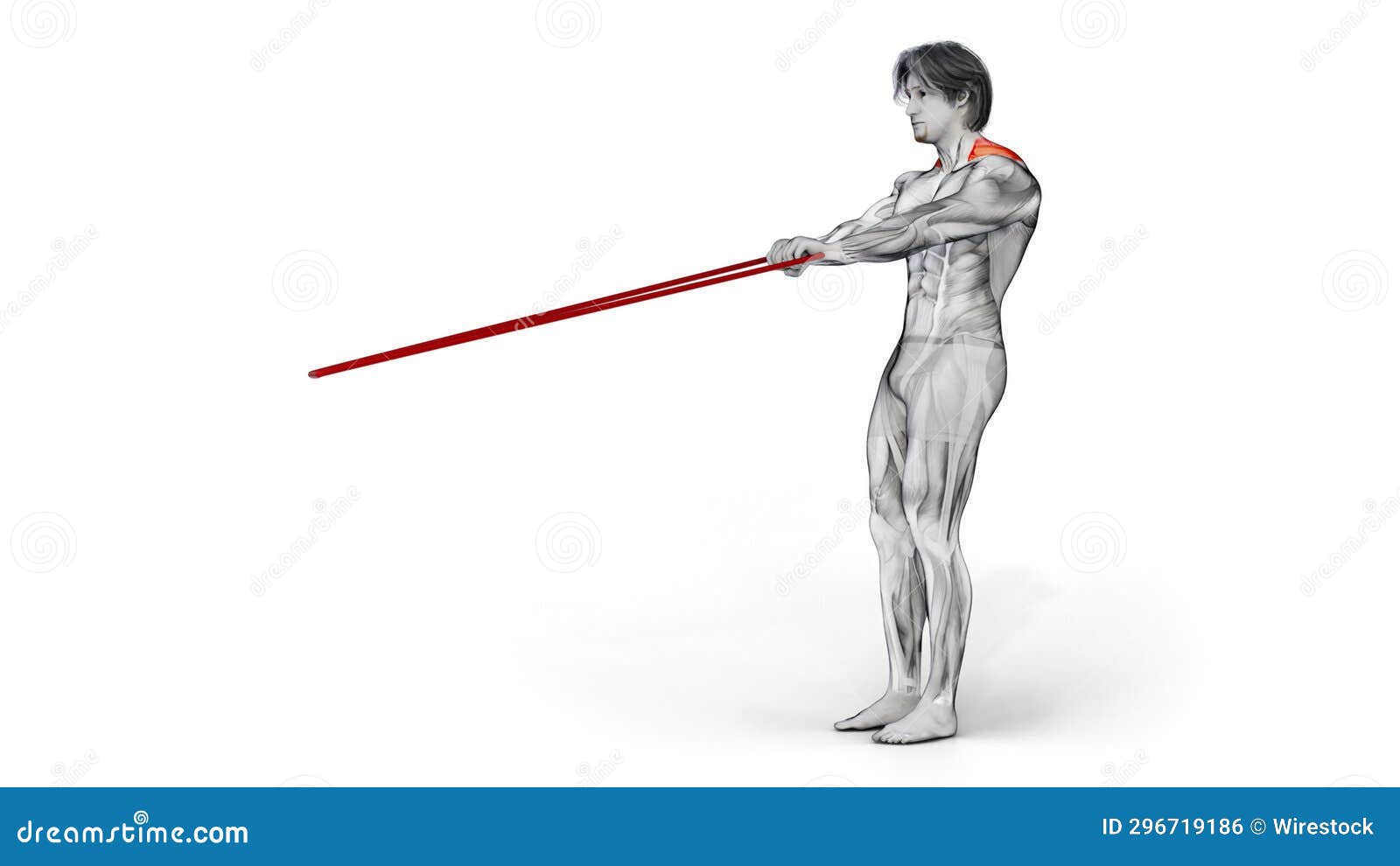 3d Illustration Design of a Muscular Character Exercises His Trap ...