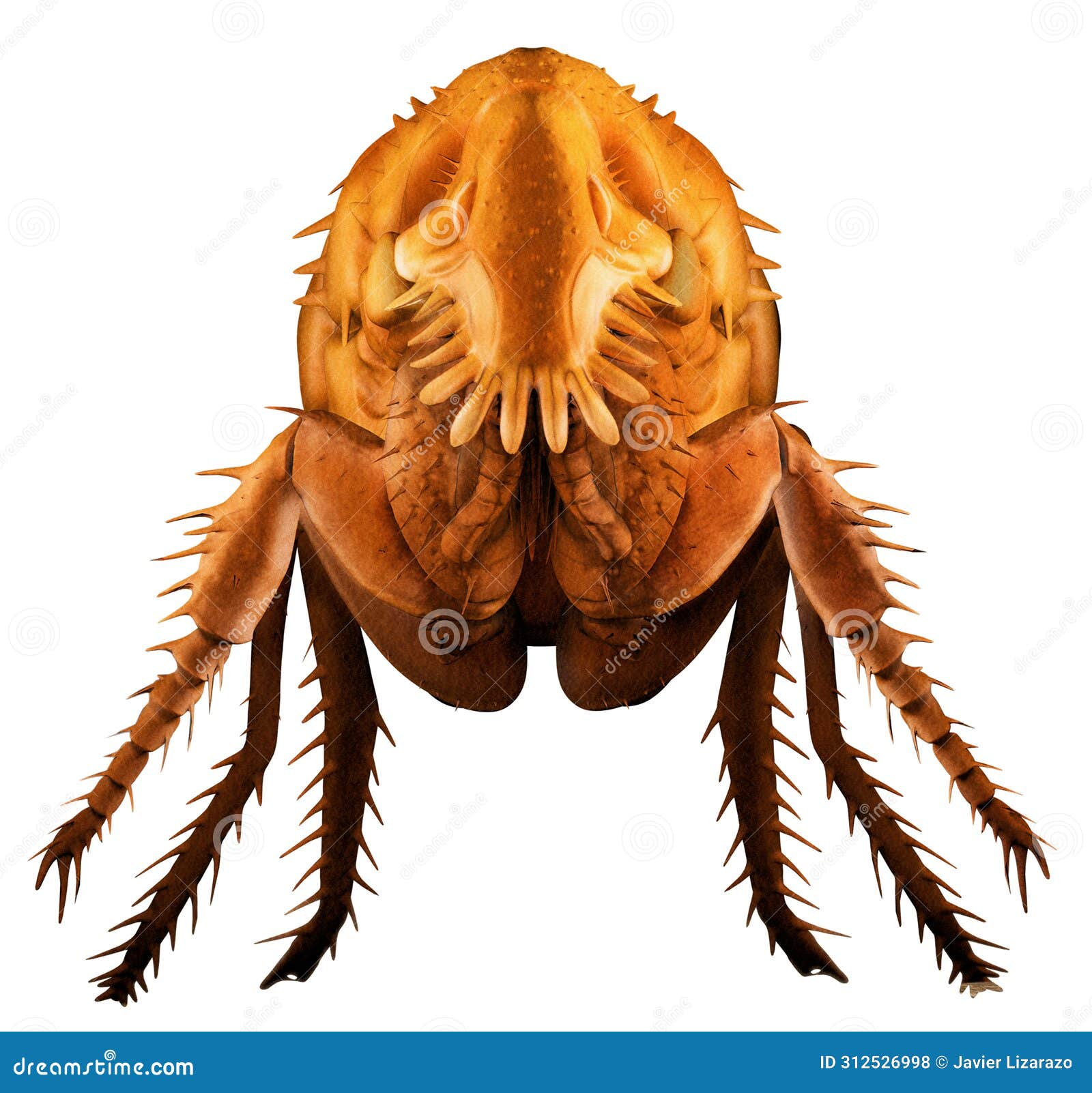 3D Illustration of a Detailed Flea on SEM Scanning Electron Microscope ...