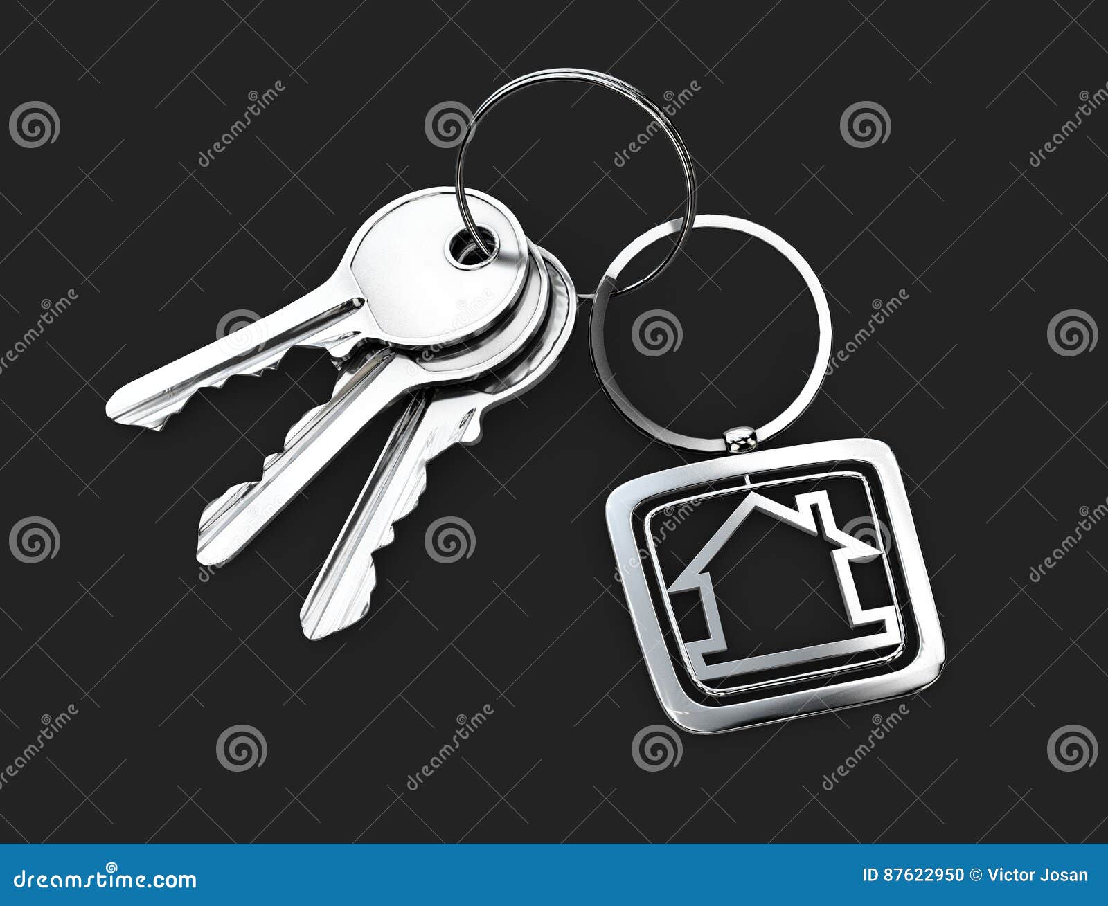 3d Illustration of Door Keys with Keychain Isolated Black Stock ...